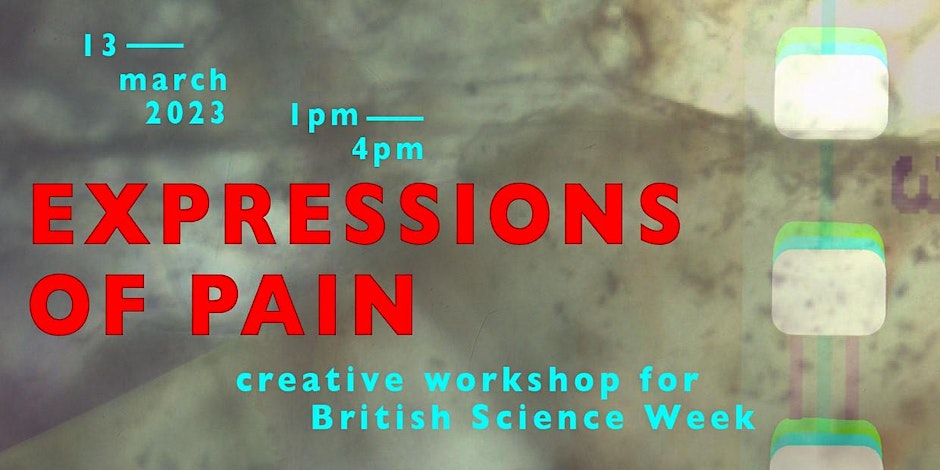 Expressions of Pain - British Science Week Event | PAINSTORM