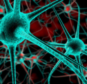 The Challenge of Chronic Pain: from Genomics to Therapy | PAINSTORM